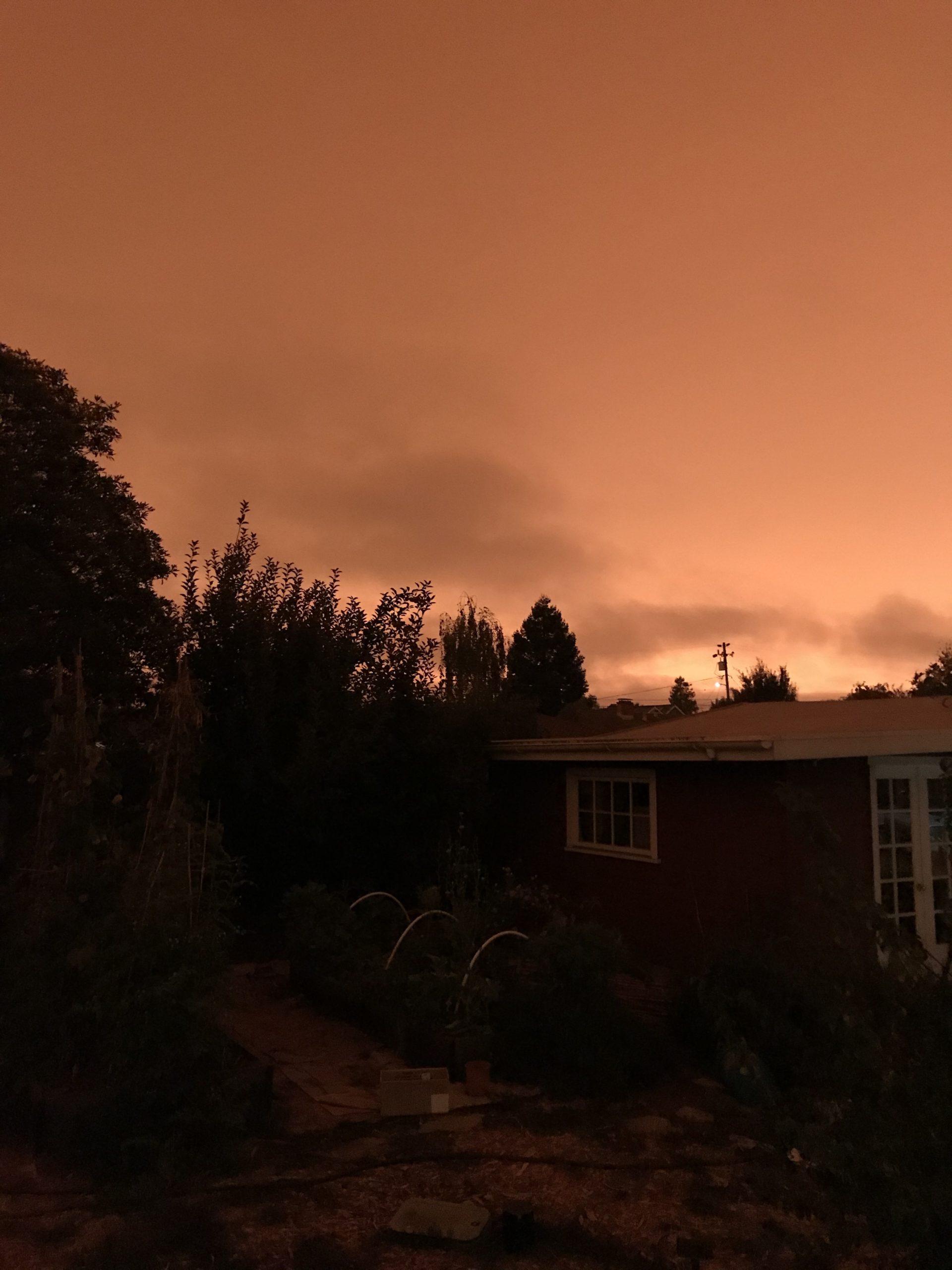 Heatwave During Wildfire: Indoor Air Quality Decisions - Midori Haus
